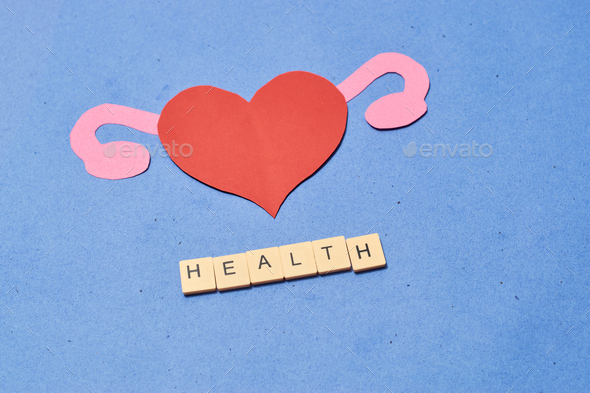 Female uterus made of paper. Care, gynecological, and women's health ...