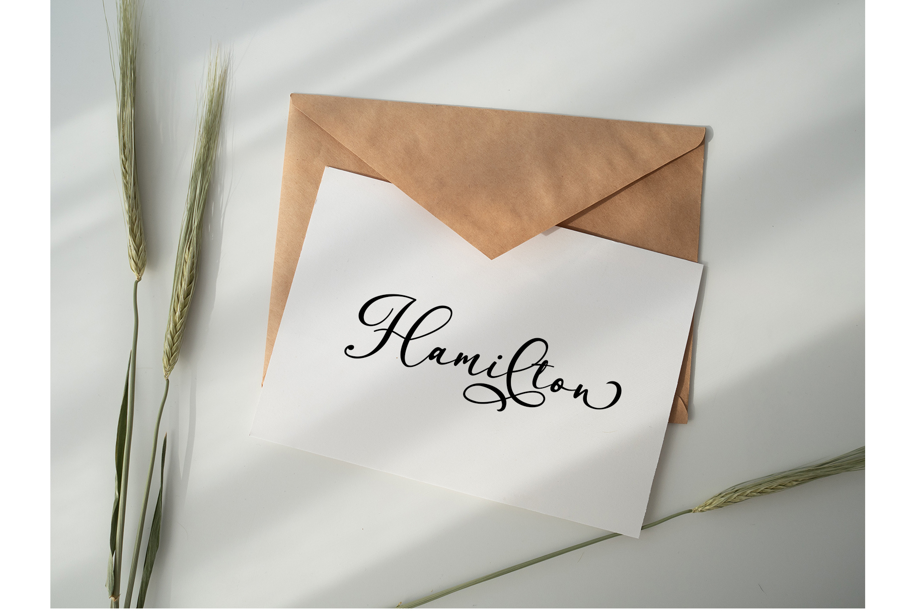 Ansley by ErlosDesign | GraphicRiver