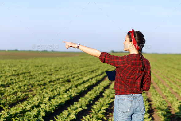 Female farmer standing in a field and examining crop. Stock Photo by ...