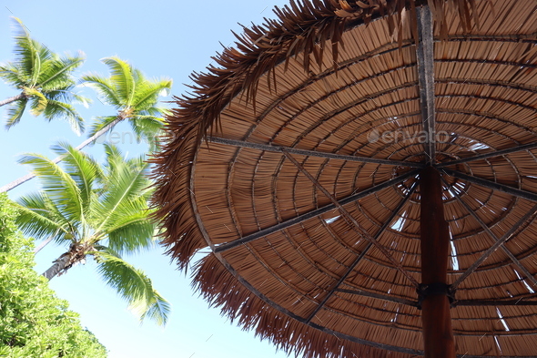 Thatched umbrella with palm trees in the background at a resort in Kona ...