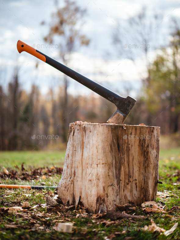 Ax in a tree trunk in the forest - deforestation, clearance ...