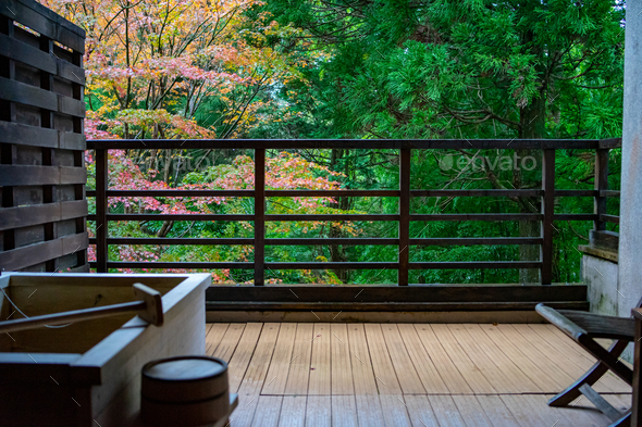 Beautiful view of a forest with colorful trees from a balcony in a ...