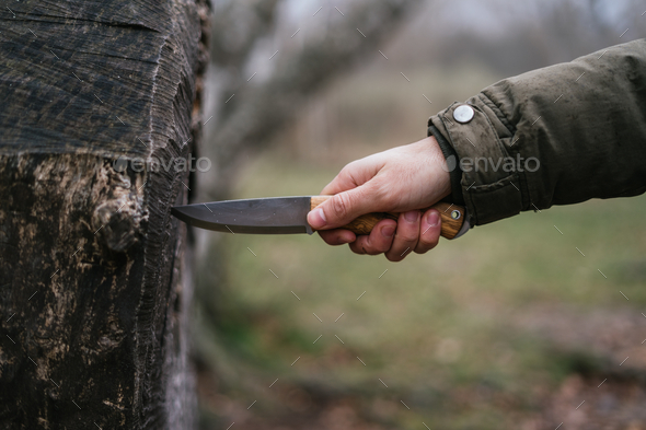 Closeup shot of a hand pulling a knifee stuck in wood Stock Photo by ...