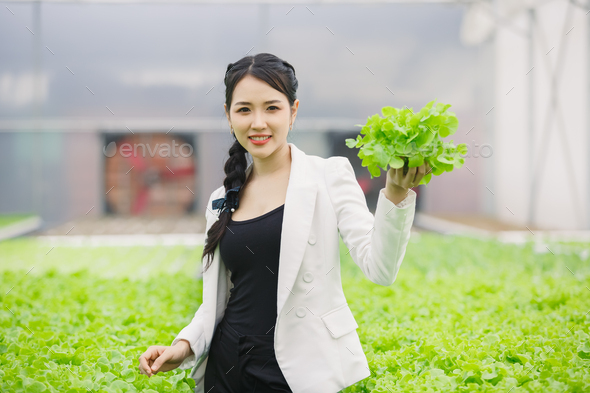 Beautiful businesswoman holding vegetables in the organic greenhouse ...