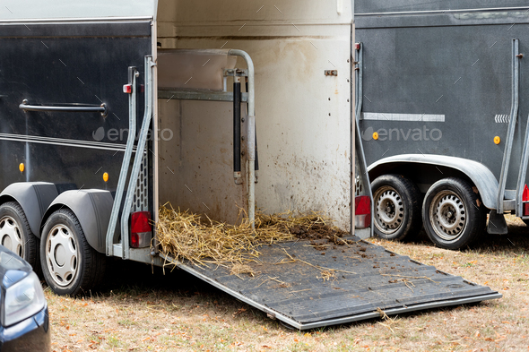 Horse box cargo trailer transport with open tailgate with hay and manure and horse ...