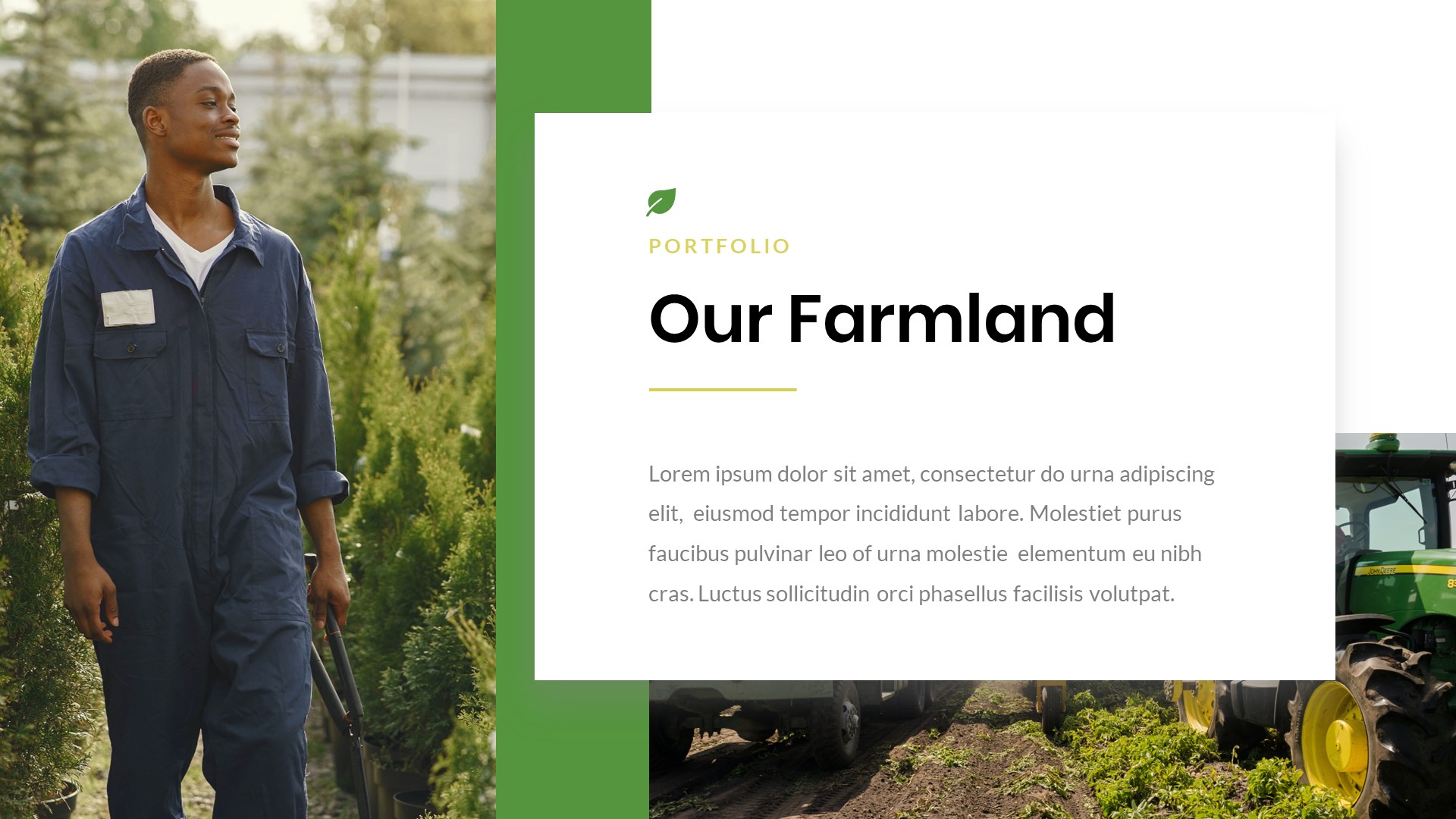 Biogrifarm - Agriculture Google Slides Template, Presentation Templates