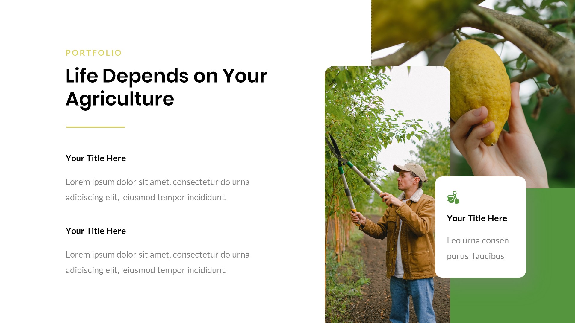 Biogrifarm - Agriculture Google Slides Template, Presentation Templates