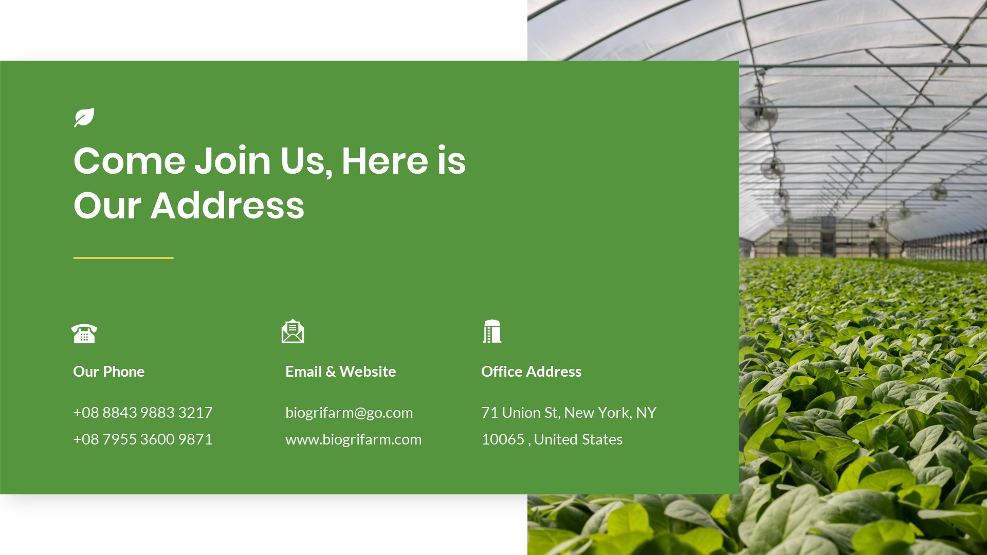 Biogrifarm - Agriculture Google Slides Template, Presentation Templates