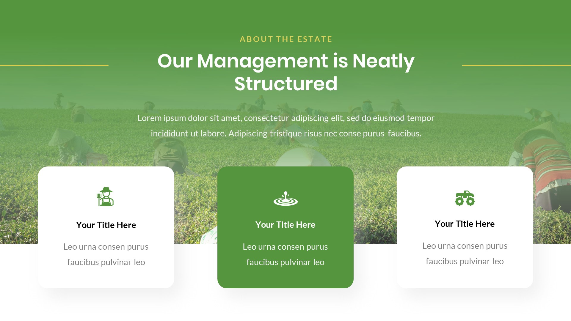 Biogrifarm - Agriculture Google Slides Template, Presentation Templates