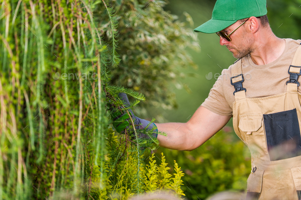 Professional Gardener Performing Plant Inspection Stock Photo by duallogic