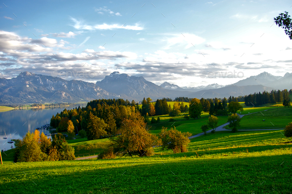 Beautiful green land with trees near the Forggensee lake in Allgau ...
