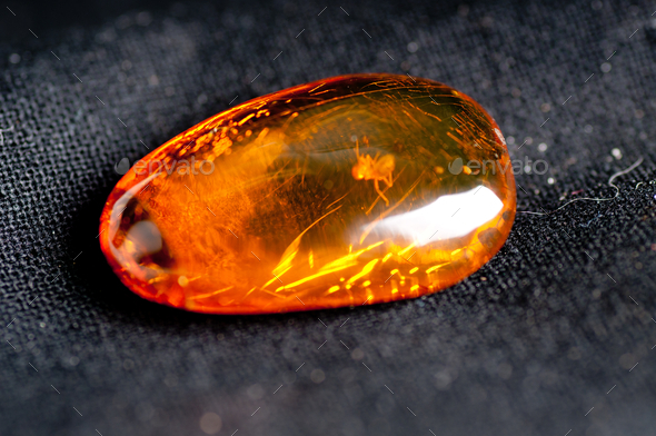 amber with insect inside Stock Photo by wirestock | PhotoDune