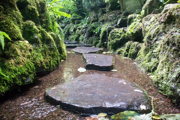 Peaceful pathway in a calm river stone walkway Stock Photo by wirestock