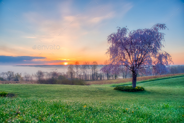Breathtaking sunset landscape over a grassy field in Venango, Pennsylvania Stock Photo by wirestock