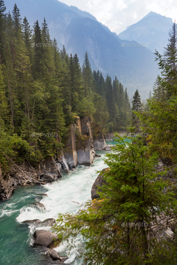 River in Canada Stock Photo by Galyna_Andrushko | PhotoDune