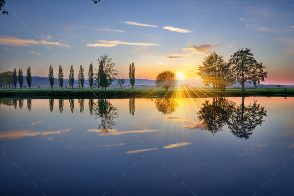 Stunning view of a brightly shining sun and trees reflected in a mirror ...