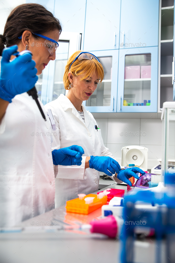 Photo of three real female scientists researching in laboratory. Stock ...