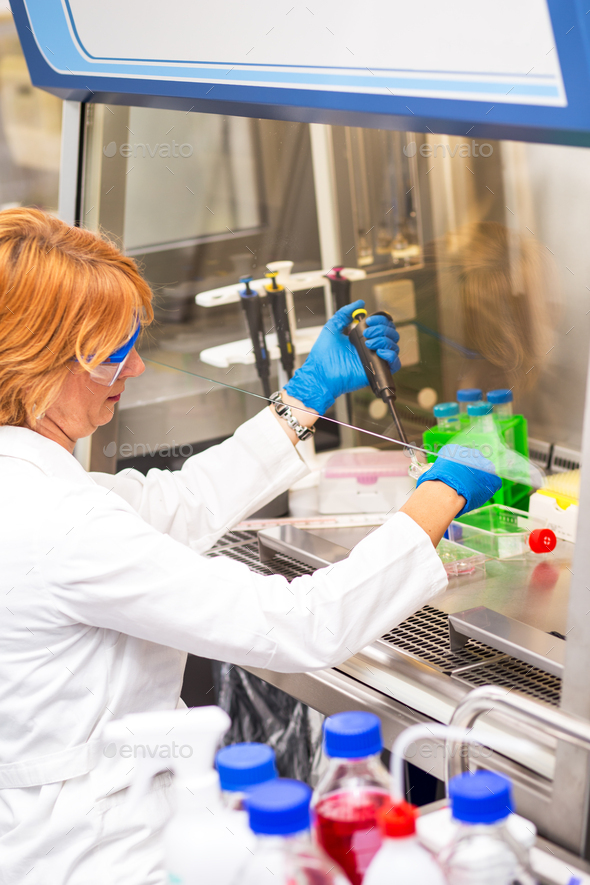 Photo of real female scientists researching in laboratory. Stock Photo ...