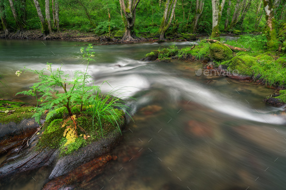 Water flows harmoniously at the junction of two rivers Stock Photo by ...