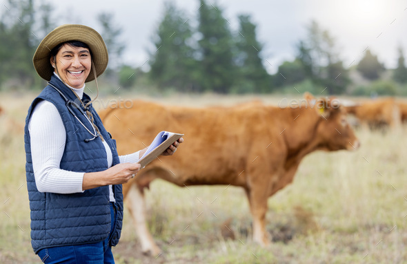 Farm, cow veterinary and portrait of woman with clipboard for ...