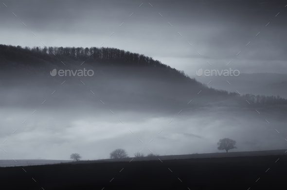 tree and hills in mist at night, dark landscape Stock Photo by andreiuc88