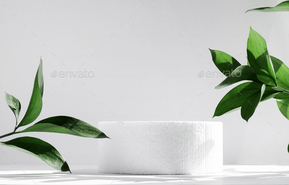 Cylindrical podium on a white background with hard shadows and leaves ...