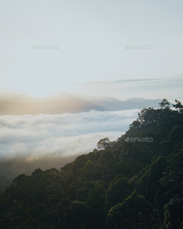 Sea clouds during golden sunrise above the Titiwangsa range mountains ...