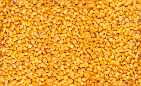 Beautiful background of ripe maize kernels, husked from corn cob Stock ...