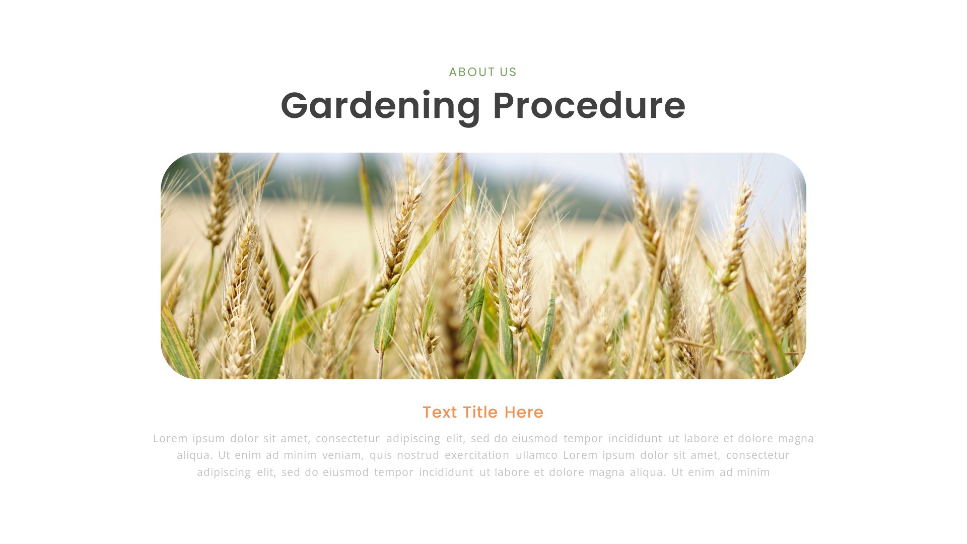 Vegeta – Agriculture Google Slides Template, Presentation Templates