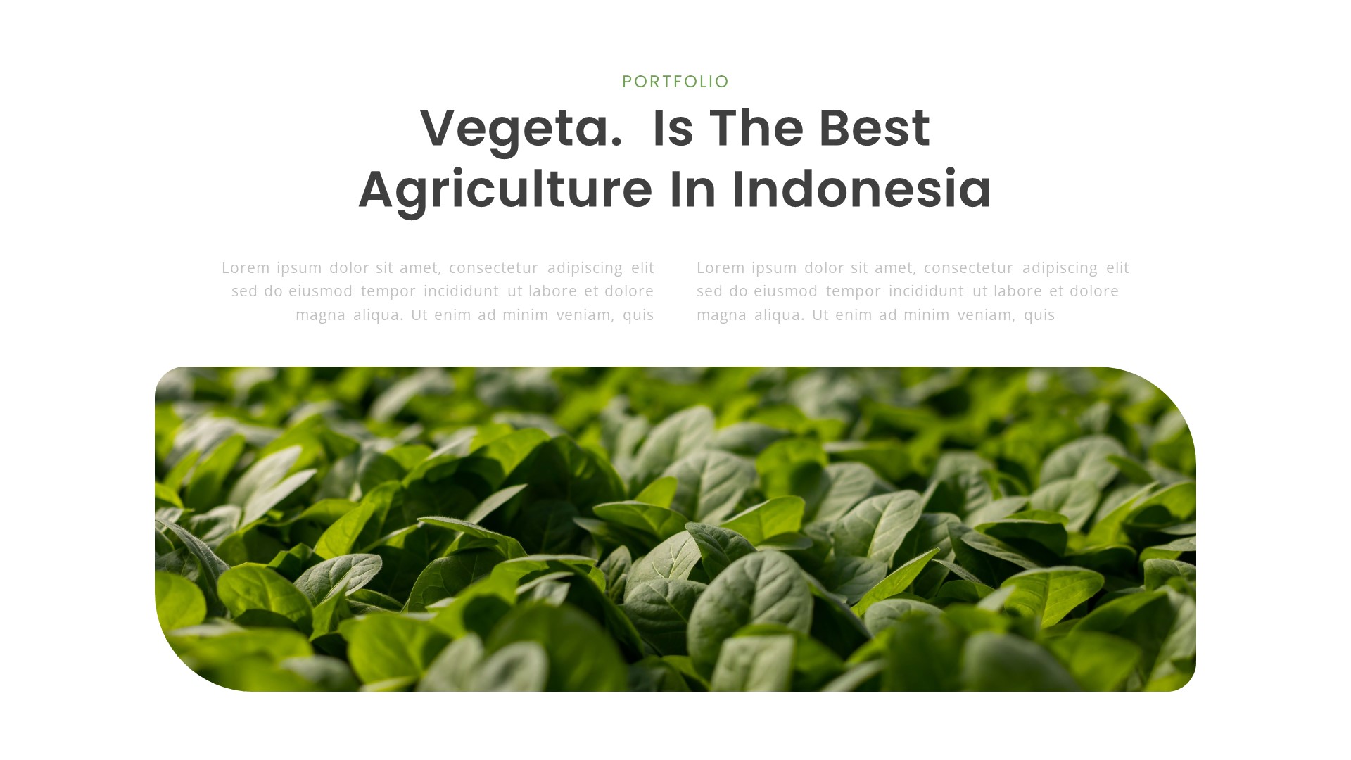 Vegeta – Agriculture PowerPoint Template, Presentation Templates ...