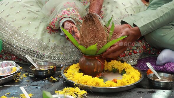 Wedding couple holding a coconut in their hands for traditional ritual ...