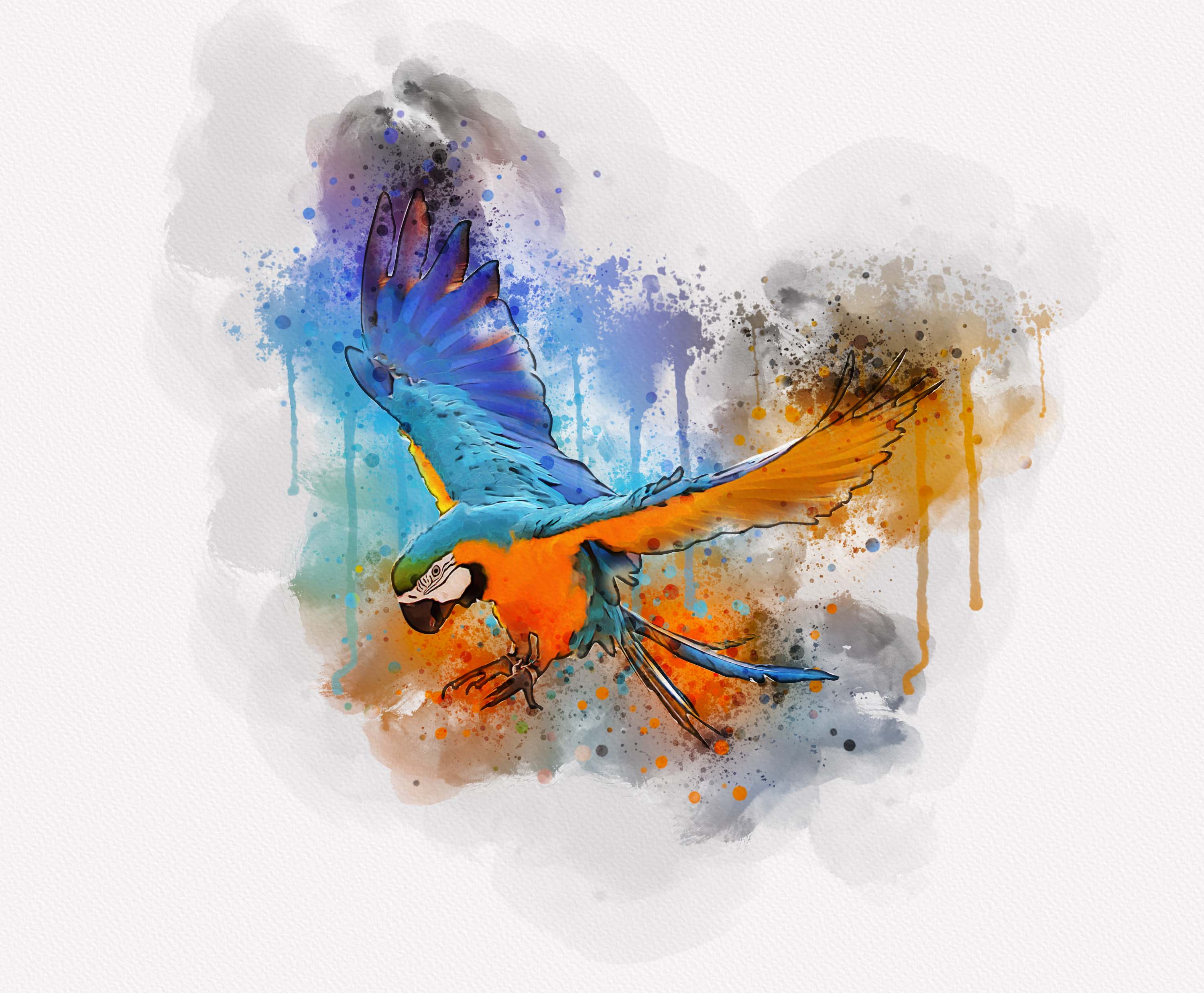 Animal Art Photo Effect Photoshop Actions, Add-ons | GraphicRiver