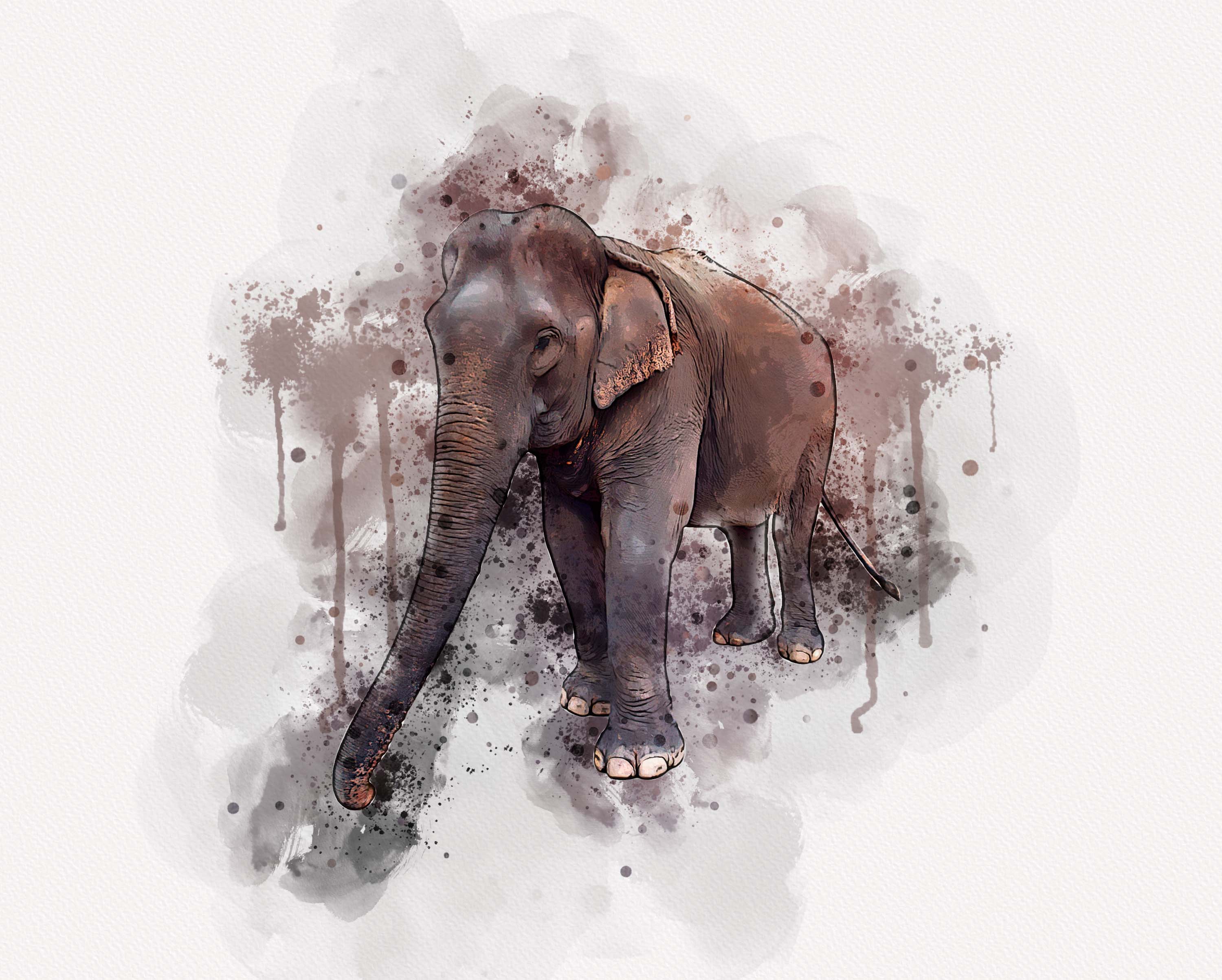 Animal Art Photo Effect Photoshop Actions, Add-ons | GraphicRiver