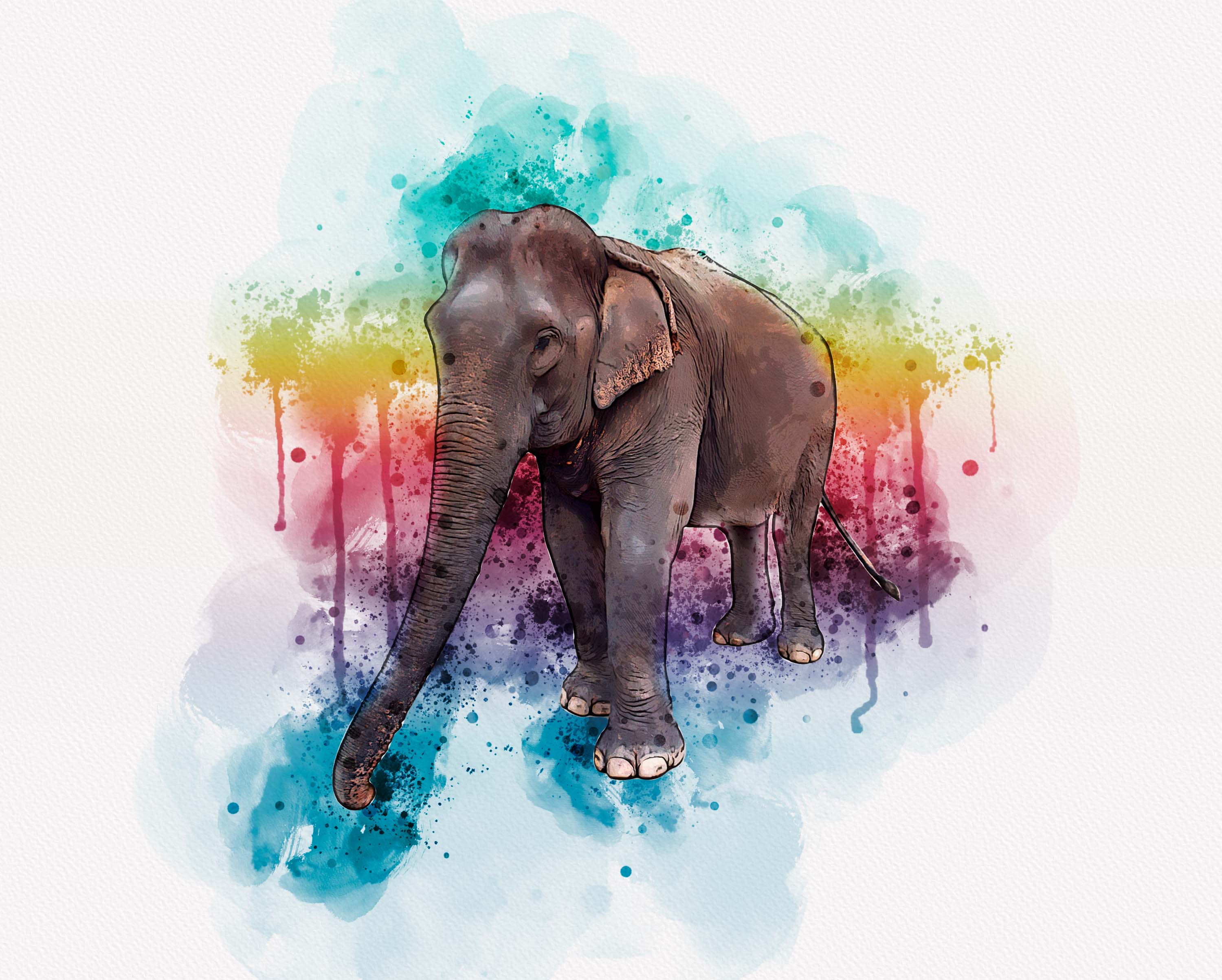 Animal Art Photo Effect Photoshop Actions, Add-ons | GraphicRiver