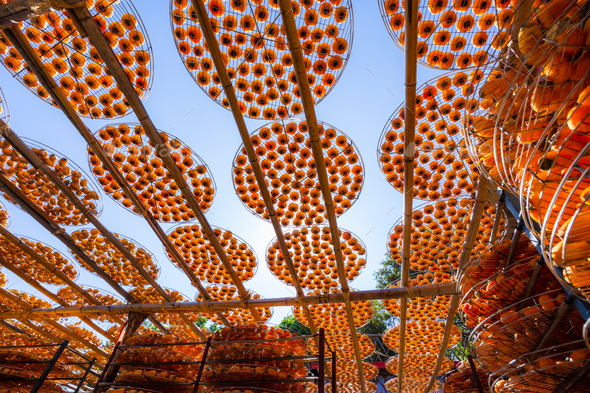 Dry Persimmon fruit production under sunshine in factory Stock Photo by ...