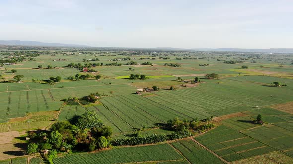 Aerial view of green wide field, houses and trees with clear sky during ...