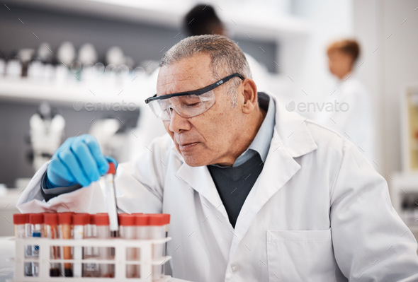 Blood, science and senior man in laboratory with sample for research ...
