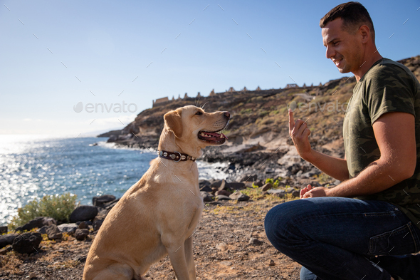 A dog trainer gestures with his hand in front of a dog during a ...