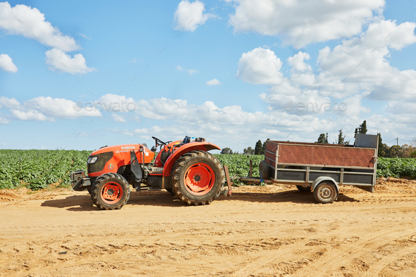 Tractor with trailer for harvesting at the farm on sunny spring day ...