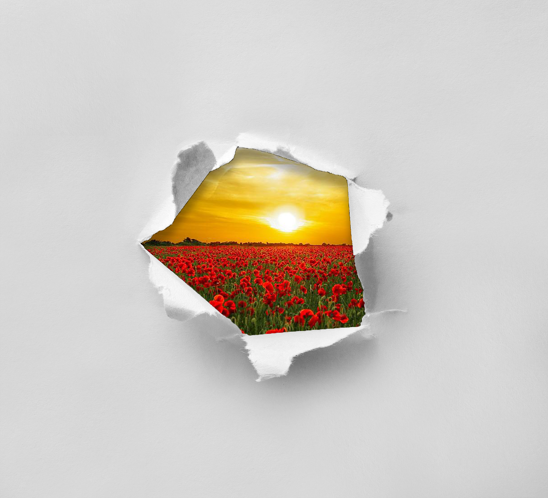 Torn Paper Photo Effect Photoshop Template, Add-ons | GraphicRiver