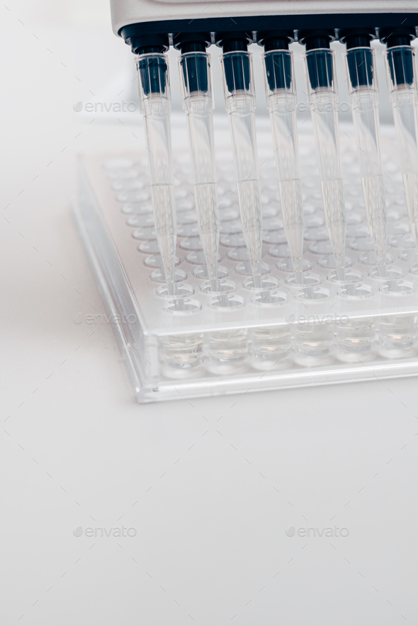 close up view of multichannel pipette in modern biotechnology ...