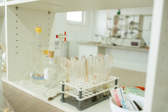 Test tubes in a laboratory on a shelf Stock Photo by wirestock | PhotoDune