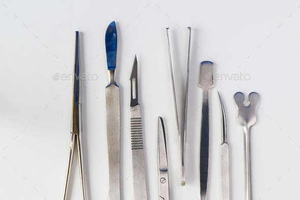 Top view of a stainless dissection kit on a white background Stock ...