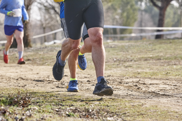 Cross country male runners on a race. Active healthy lifestyle Stock ...