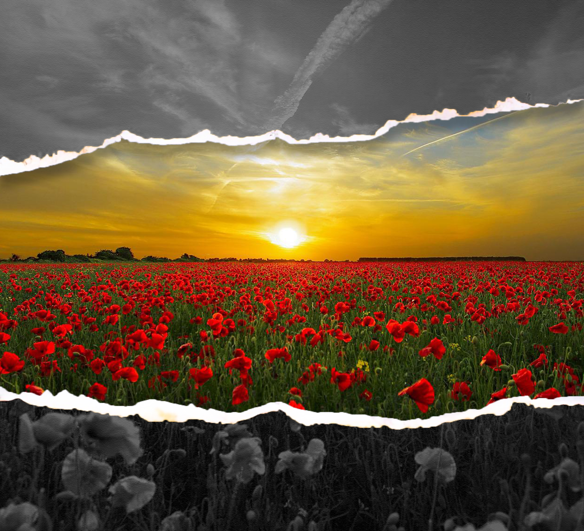 Torn Paper Photo Effect Photoshop Template, Add-ons | GraphicRiver