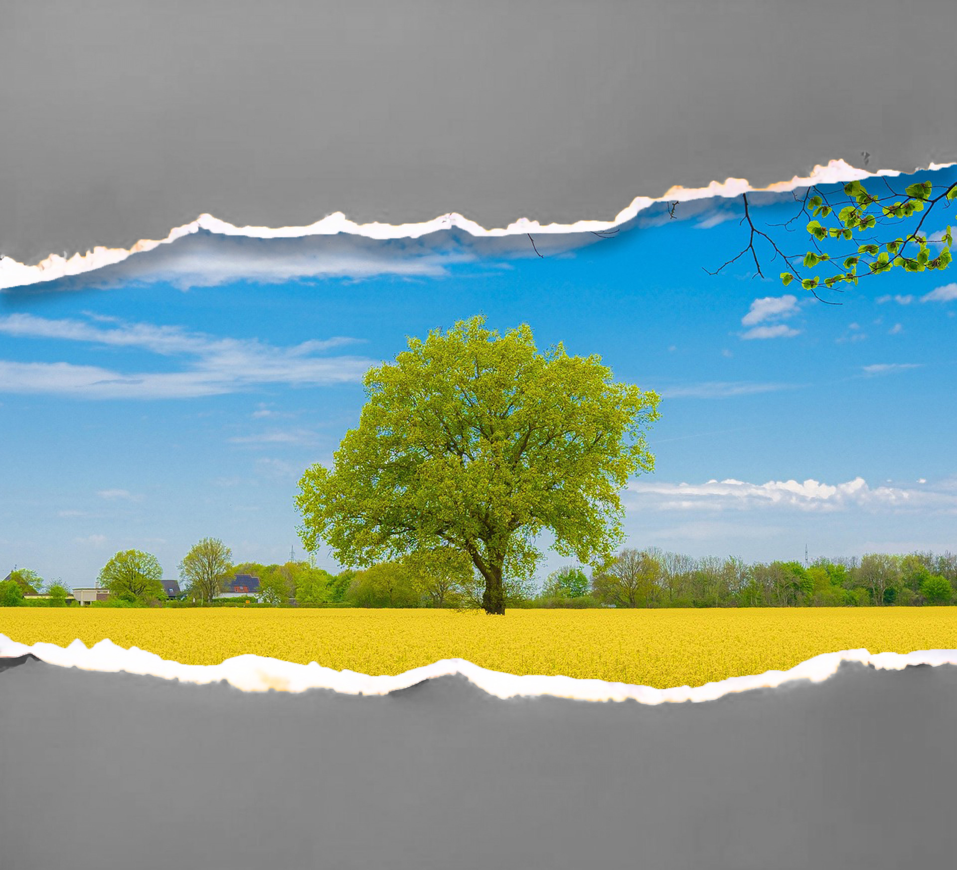 Torn Paper Photo Effect Photoshop Template, Add-ons | GraphicRiver