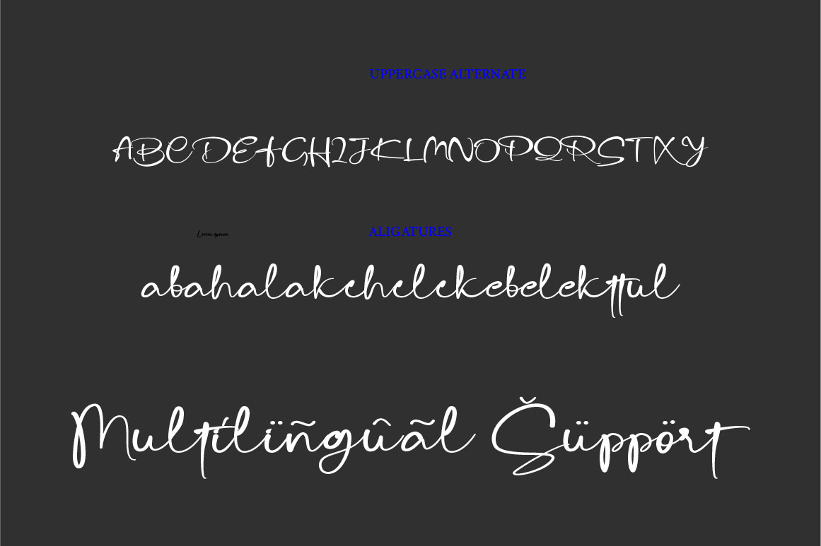 Borneo Font, Fonts | GraphicRiver