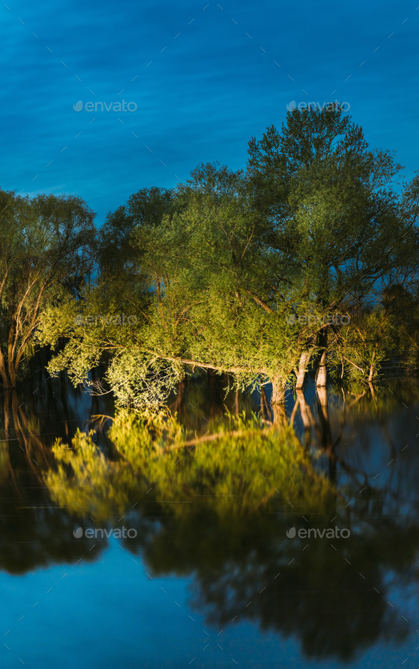 Night landscape with Trees that Standing In Water During Spring Flood ...