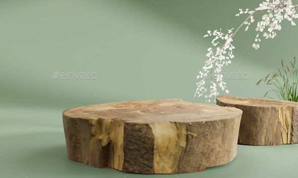 tree stump podium display design Stock Photo by tridsanu | PhotoDune