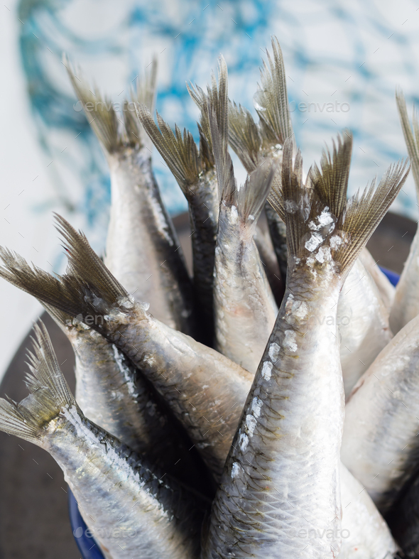 tails and scale fresh fish Stock Photo by anal74 | PhotoDune